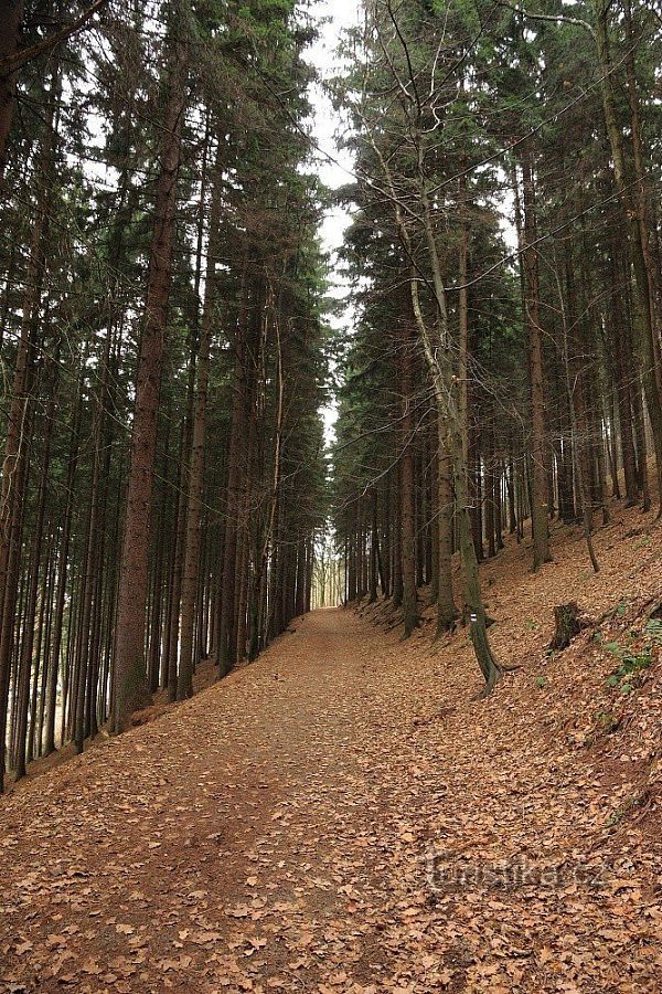 Náchod 125 tipů na výlet a atrakcí