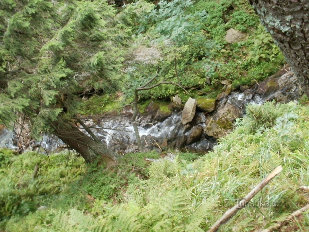 Divoký důl, Jeseníky