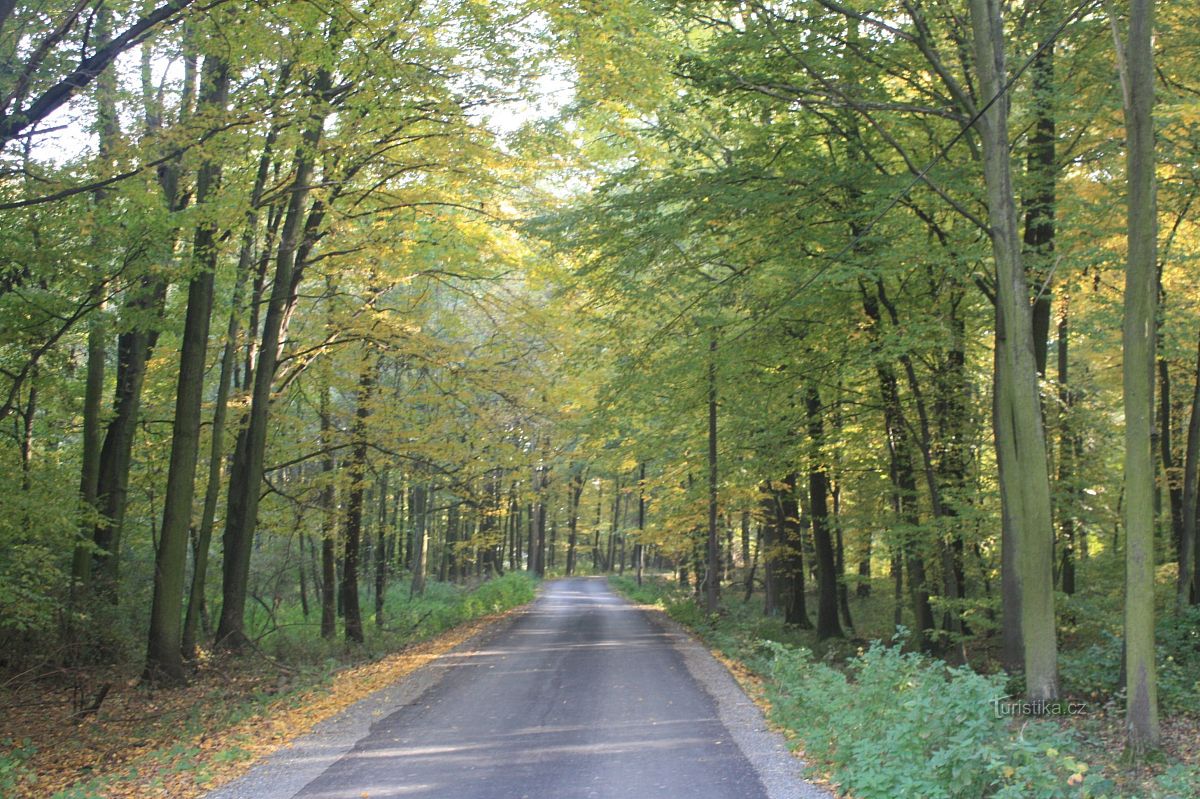 Břeclav 92 Tipps für Ausflüge und Sehenswürdigkeiten
