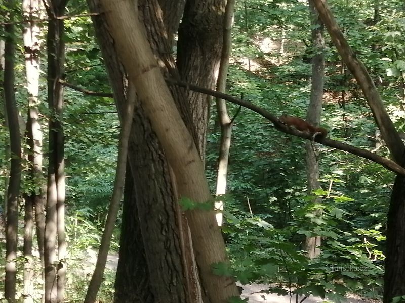 Kobylisy 29 tipů na výlet a atrakcí