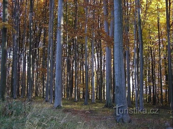 Hefaiston - Helfštýn Castle - Lipník nad Bečvou