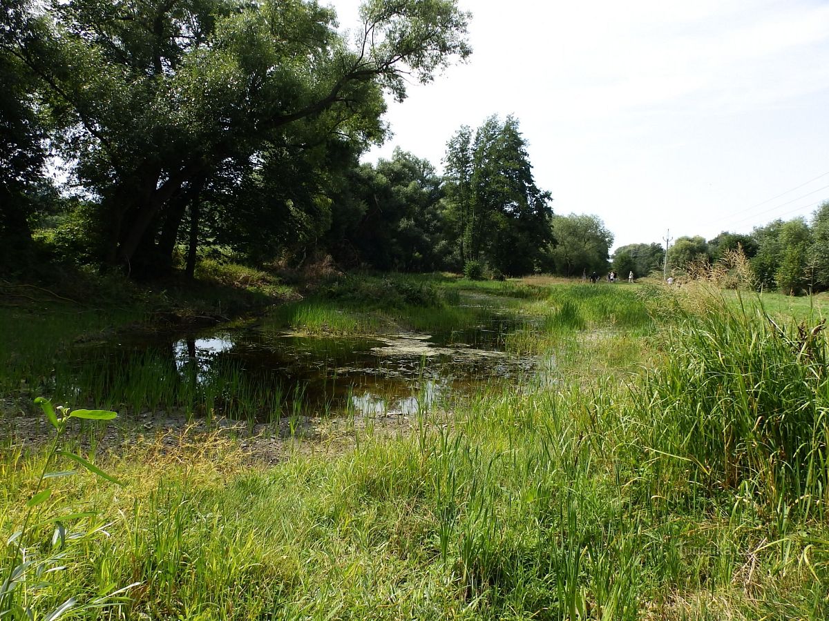 Strakonice 48 Tipps für Ausflüge und Sehenswürdigkeiten