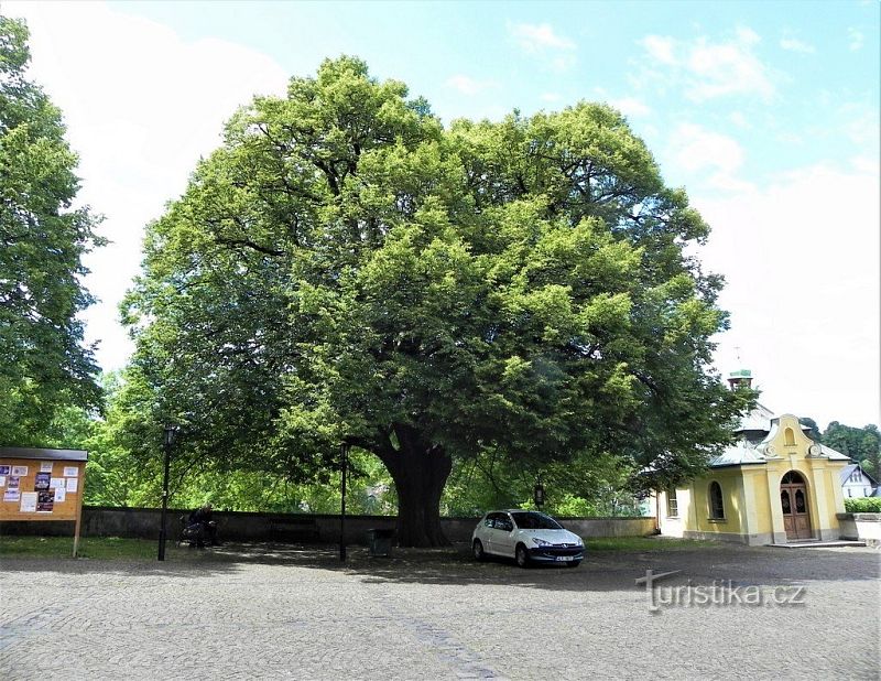 Hejnice 65 tipů na výlet a atrakcí