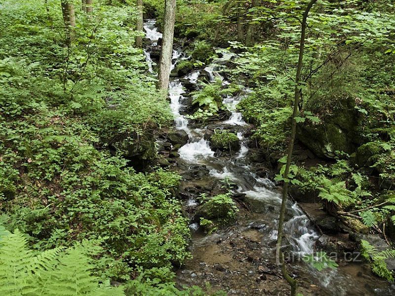 Výlety Malá Morava