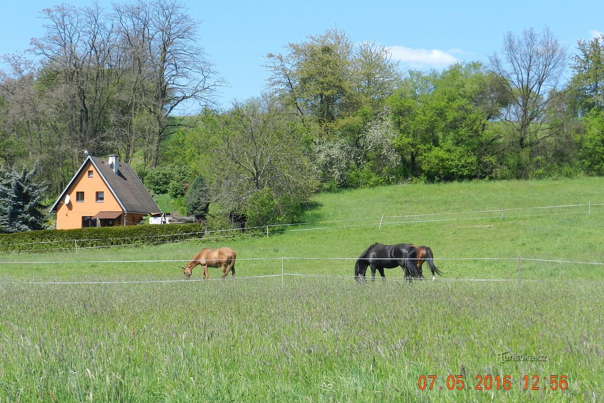 Zábřeh - Nemile - přehr.Nemilka - Růžové údolí rest. - pěší cca 8 km ...