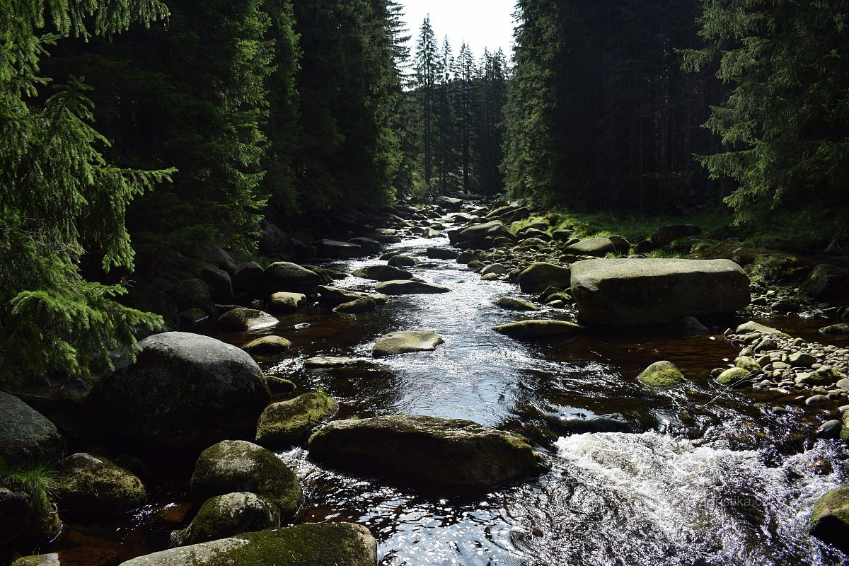 Modrava 44 tipů na výlet a atrakcí