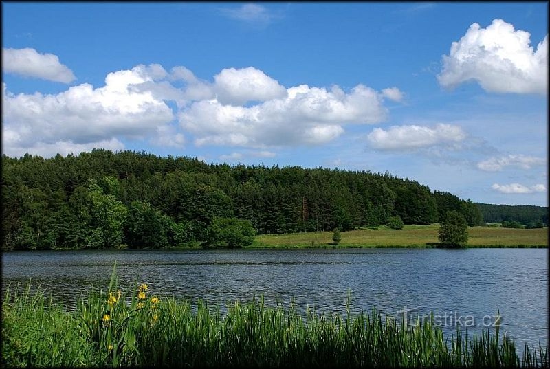 Lipnice nad Sázavou 27 tipů na výlet a atrakcí