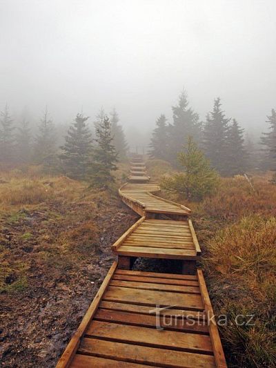 Lesy ČR zrekonstruovaly turistický chodník na nejvyšší horu Jizerských hor